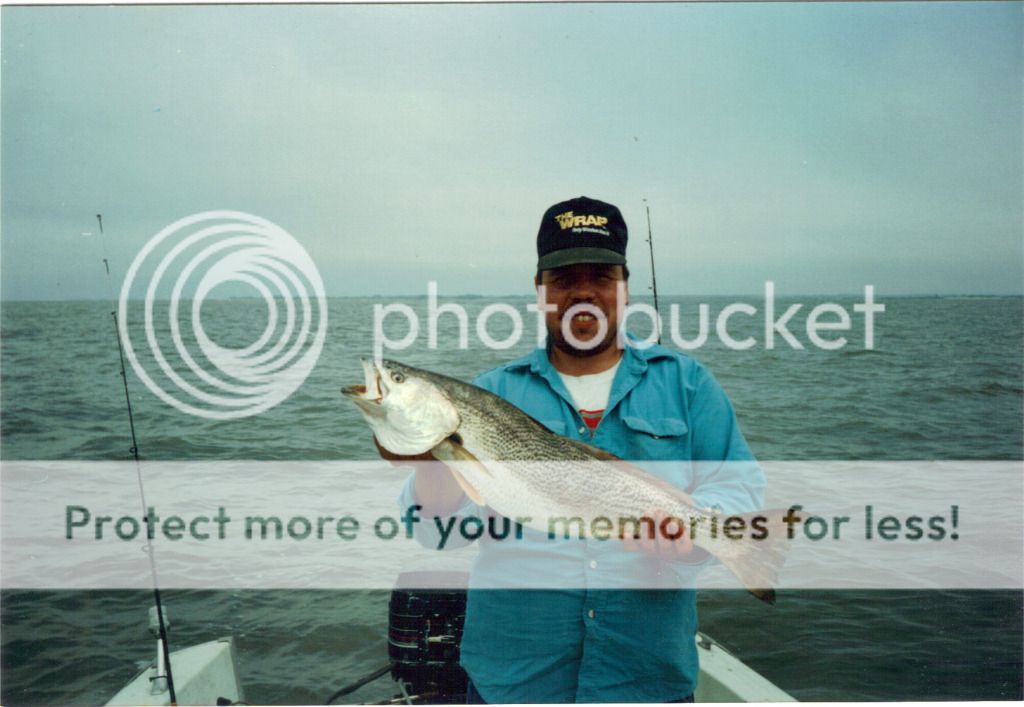 Old weakfish photos | BASS BARN